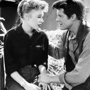 Barbara Ruick - Rotten Tomatoes