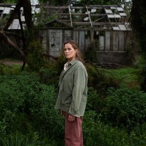 The Lost Flowers of Alice Hart - Rotten Tomatoes