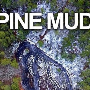 Pine Mud - Rotten Tomatoes