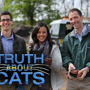 The Truth About Cats - Rotten Tomatoes