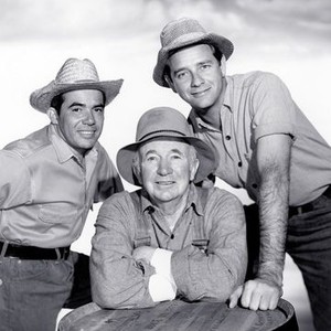 The Real McCoys - Rotten Tomatoes