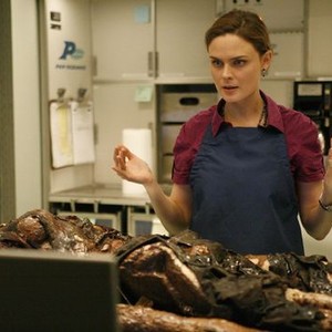 Bones: Season 4, Episode 10 - Rotten Tomatoes