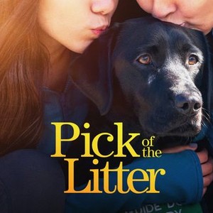 Pick of the Litter - Rotten Tomatoes