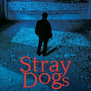 Stray Dogs - Rotten Tomatoes