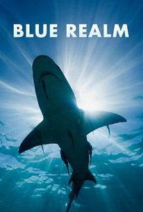 Blue Realm | Rotten Tomatoes