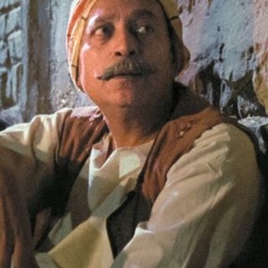 The Land - Rotten Tomatoes