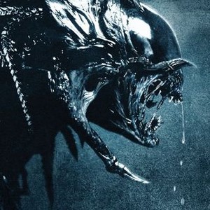 Aliens vs. Predator: Requiem - Rotten Tomatoes
