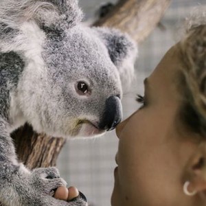Izzy's Koala World - Rotten Tomatoes