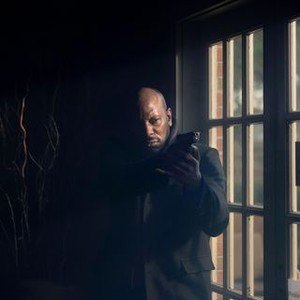 The Collective - Rotten Tomatoes