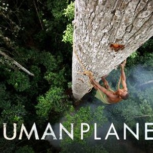 Rotten Tomatoes: Movies | TV Shows | Movie Trailers | Reviews - Rotten ...