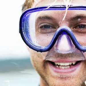 The Longevity Film - Rotten Tomatoes