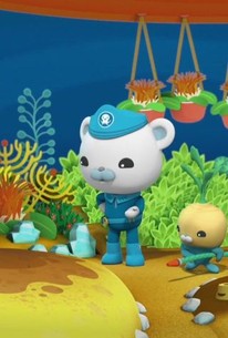Octonauts: Season 3, Episode 7 | Rotten Tomatoes