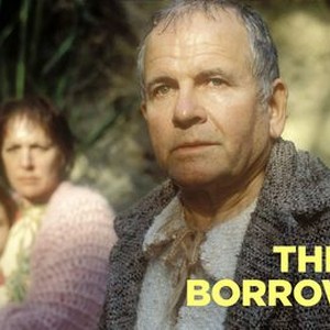 The Borrowers - Rotten Tomatoes