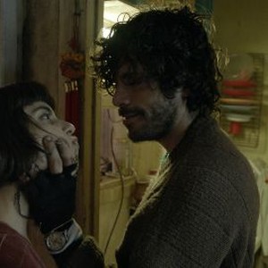 Animal - Rotten Tomatoes