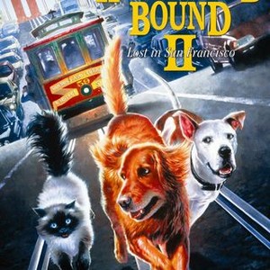 Homeward Bound II: Lost in San Francisco - Rotten Tomatoes