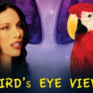 Bird's Eye View - Rotten Tomatoes