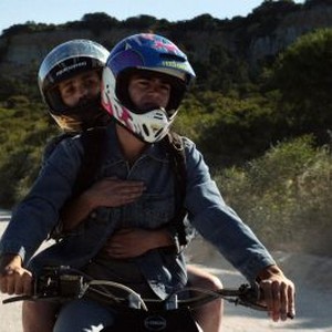 Pedro - Rotten Tomatoes