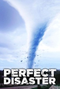 Perfect Disaster | Rotten Tomatoes