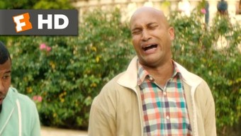 Keanu - Rotten Tomatoes