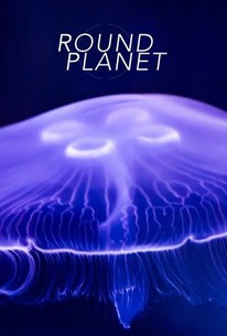 Round Planet | Rotten Tomatoes