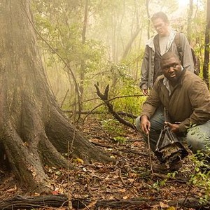 Zoo: Season 1, Episode 4 - Rotten Tomatoes