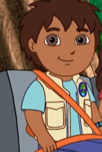 Go, Diego, Go!: Season 1, Episode 6 | Rotten Tomatoes