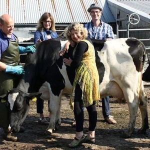 The Moo Man - Rotten Tomatoes