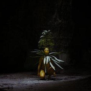 Uýra: The Rising Forest - Rotten Tomatoes