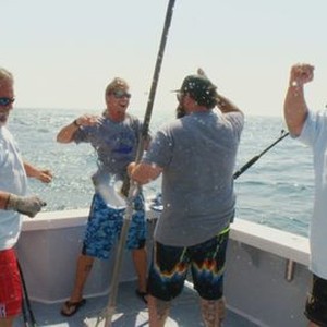 T.J. Ott - Rotten Tomatoes