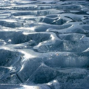 Antarctica: A Year on Ice - Rotten Tomatoes