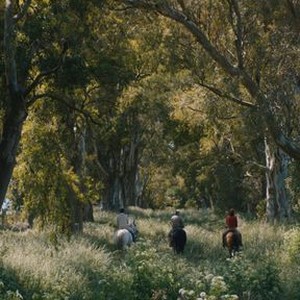 Azor - Rotten Tomatoes