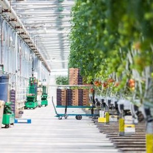 Food Factory - Rotten Tomatoes