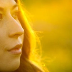 Breaking the Loop - Rotten Tomatoes