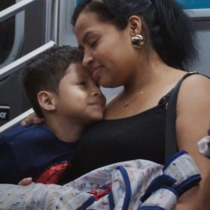 Split at the Root - Rotten Tomatoes