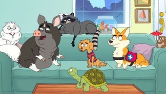 HouseBroken | Rotten Tomatoes