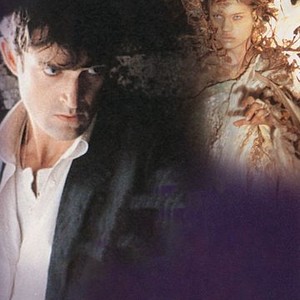 Cemetery Man - Rotten Tomatoes