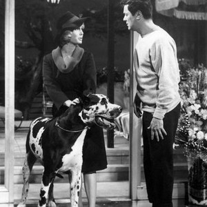 Goodbye Charlie - Rotten Tomatoes