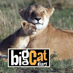 Big Cat Diary: Season 1, Episode 1 - Rotten Tomatoes
