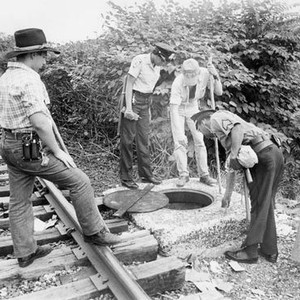 Cropsey - Rotten Tomatoes