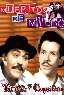 Muertos de miedo | Audience Reviews | Rotten Tomatoes