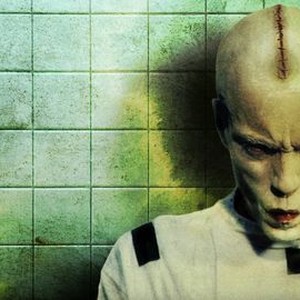 Warpath - Rotten Tomatoes