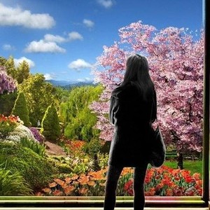 Finding Happiness - Rotten Tomatoes