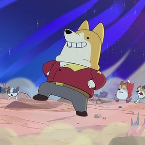 Dogs in Space - Rotten Tomatoes