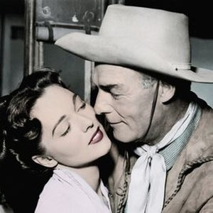 Riding Shotgun - Rotten Tomatoes