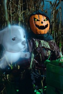 Phantom Pups: Season 1, Episode 9 | Rotten Tomatoes