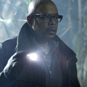 The Marsh - Rotten Tomatoes