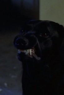 Goosebumps: Season 3, Episode 7 - Rotten Tomatoes