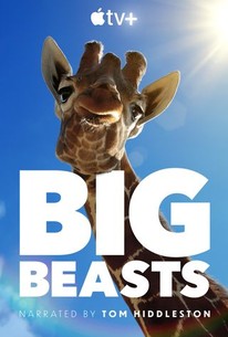Big Beasts: Season 1 | Rotten Tomatoes