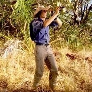 Andy's Wild Adventures: Season 1, Episode 9 - Rotten Tomatoes