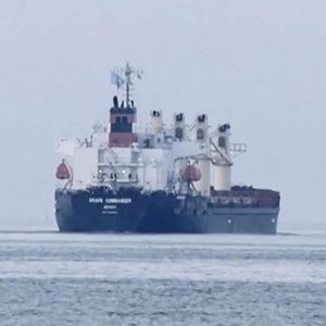 Hunger - Rotten Tomatoes